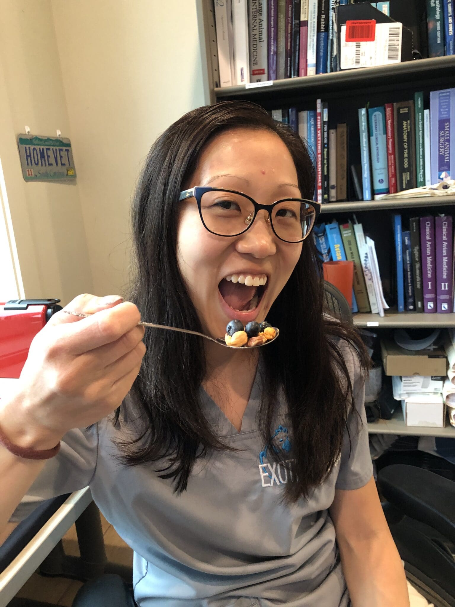 Cecotropes: Not Just for Rabbits Anymore | Exotic Vet Care